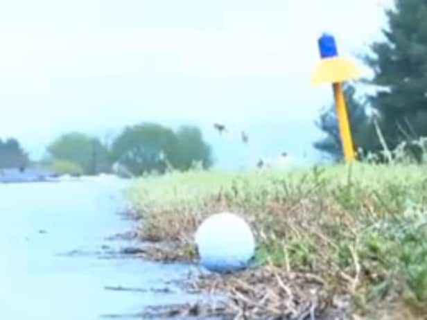 Weird Golf News Of The Week An Airport Is Worried About Stray Golf