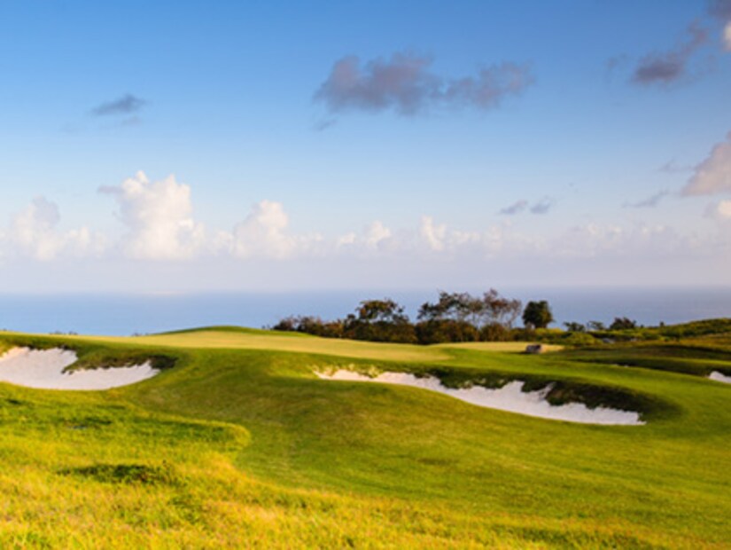 An edible golf course? Yes, there is such a thing | This is the Loop ...
