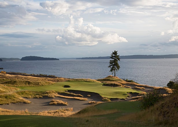 Chambers Bay Course Layout