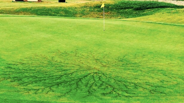 Another stunning example of what happens when lightning hits a golf ...