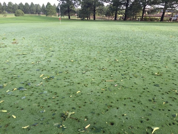Hail batters Colorado Springs golf course, closes it for at least a ...
