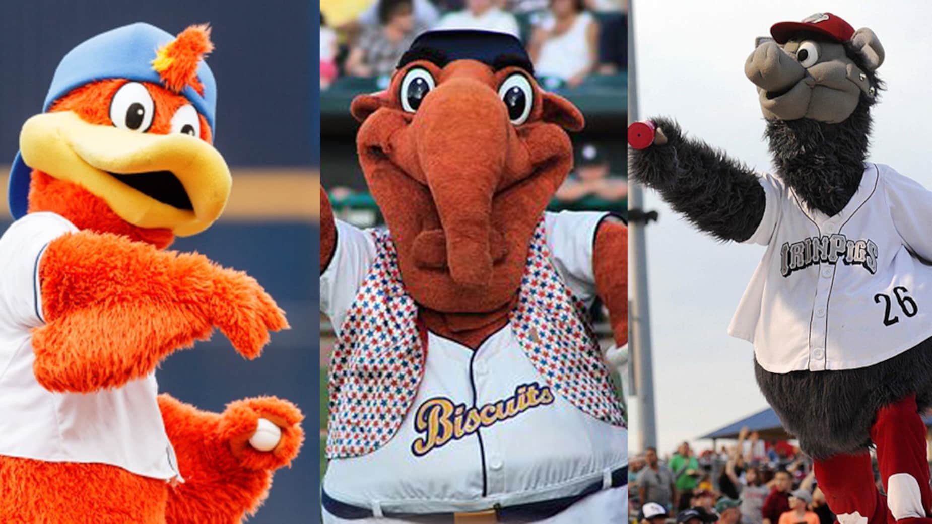 15 most bizarre minor-league baseball mascots in America | This is the ...
