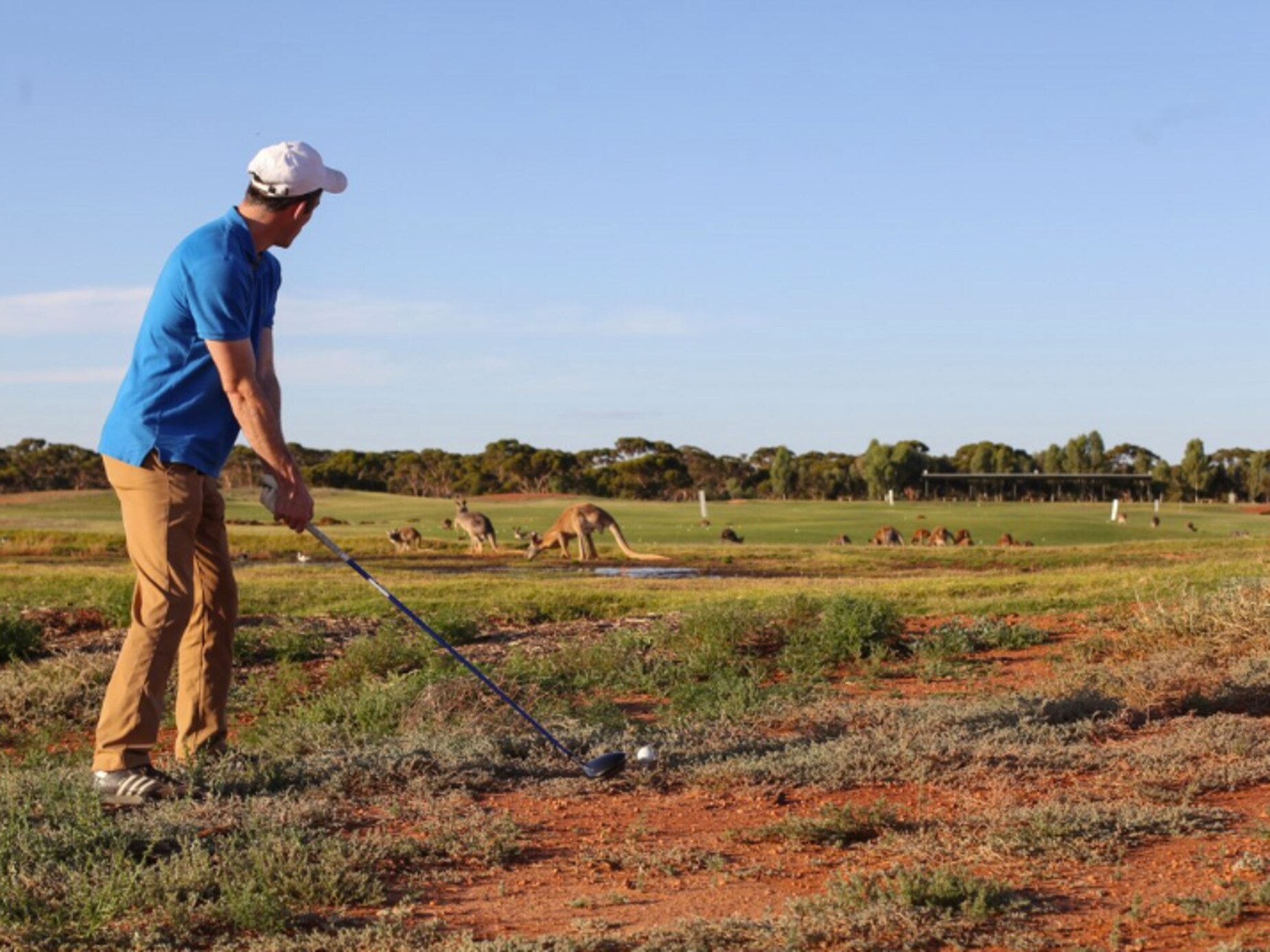 Meet the 850-mile Nullarbor Links, the longest golf course in the world ...