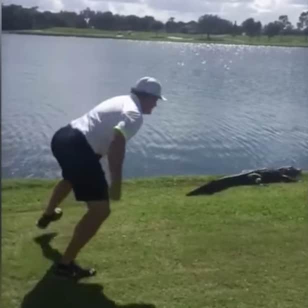 Jeremy Roenick explains why he once tried to tackle a gator on a golf ...