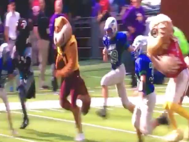 Watch the University of Minnesota mascot run over a child during ...