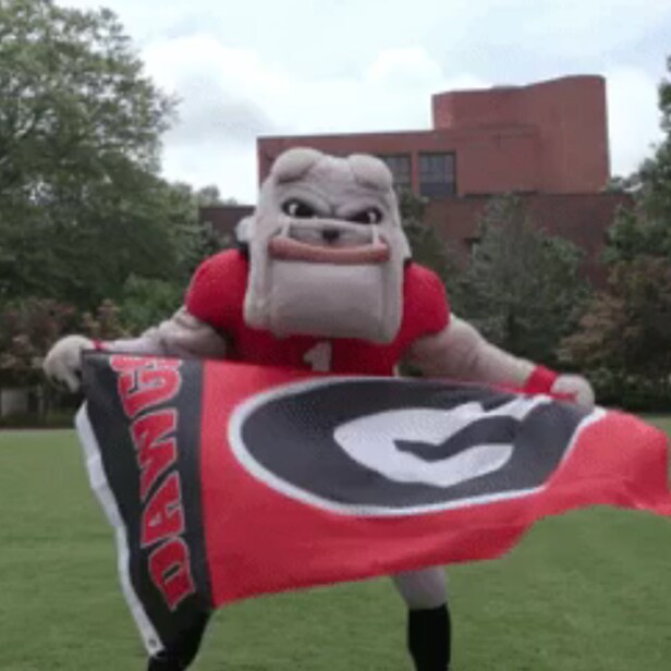 Georgia's golf program just owned Georgia Tech's golf program (On ...
