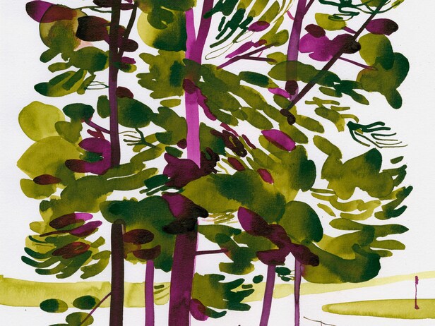 The draw of drawing the Masters | Golf Digest