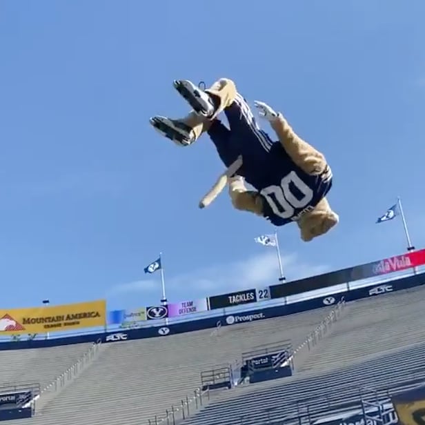 Byu Cougar Jumping