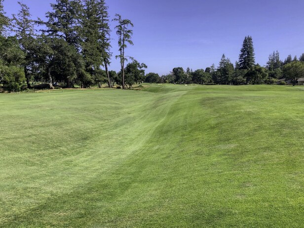 This underrated Alister MacKenzie hole inspired the 2023 amateur ...