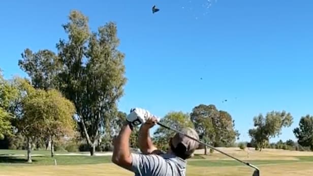 Golfer hits untimeliest of shots, accidentally nails (and kills) bird ...