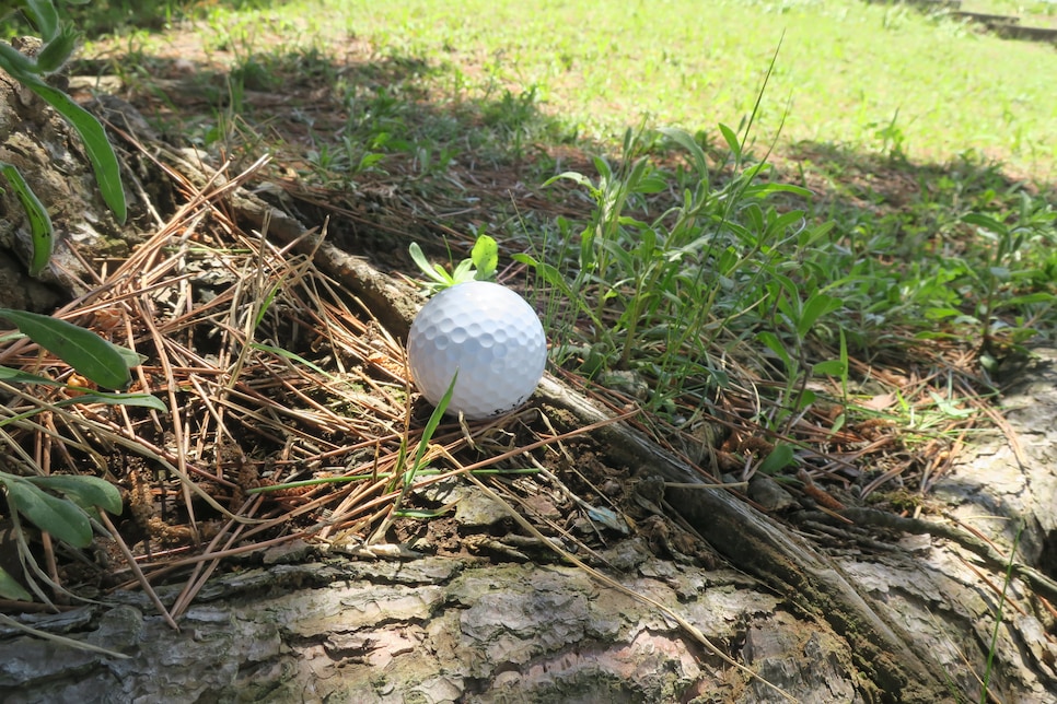 Rules of Golf Review: A tree is in ground under repair, but my ball is ...